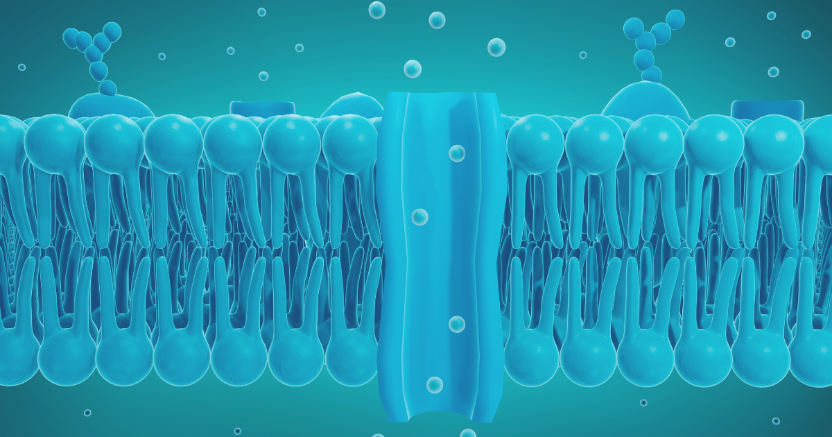 Infographic showing the bioavailability of AFA nutrients, highlighting ...