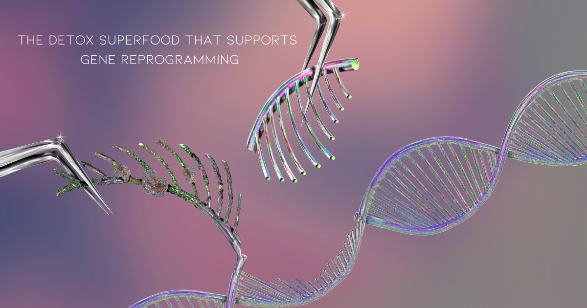 Unlock Your Best Health: How AFA Supercharges Gene Reprogramming and ...